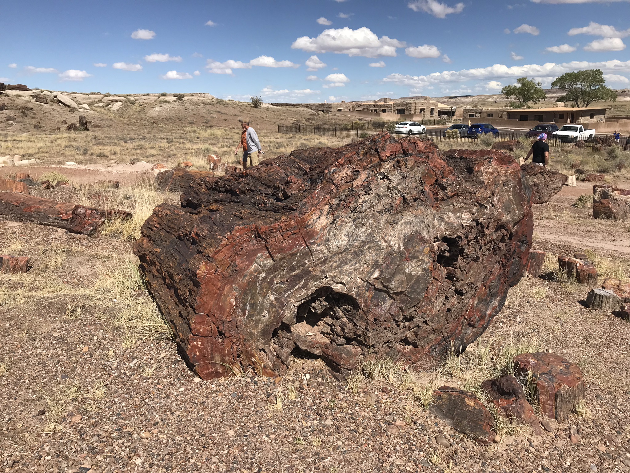 Portfolio – Earth Research